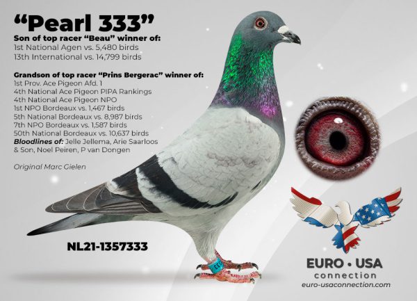 Products – Euro USA Connection