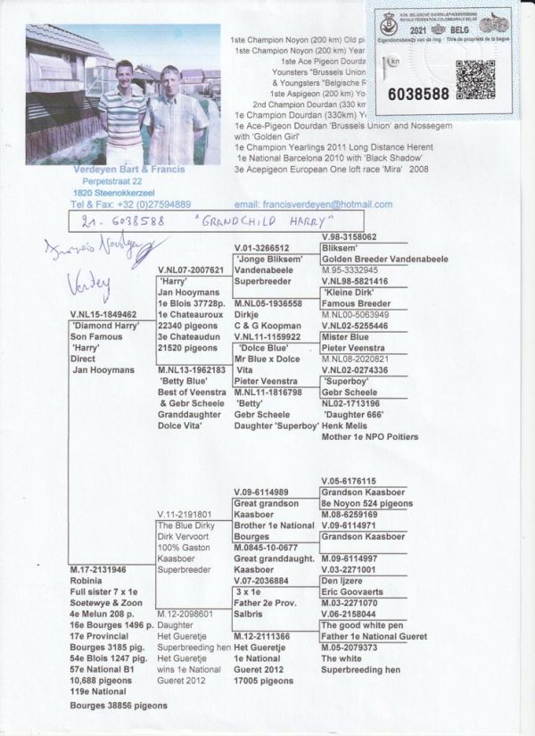 Products – Euro USA Connection