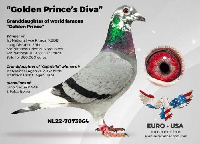 Products – Euro USA Connection