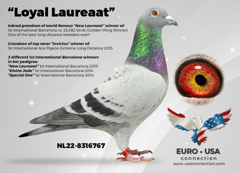 Products – Euro USA Connection