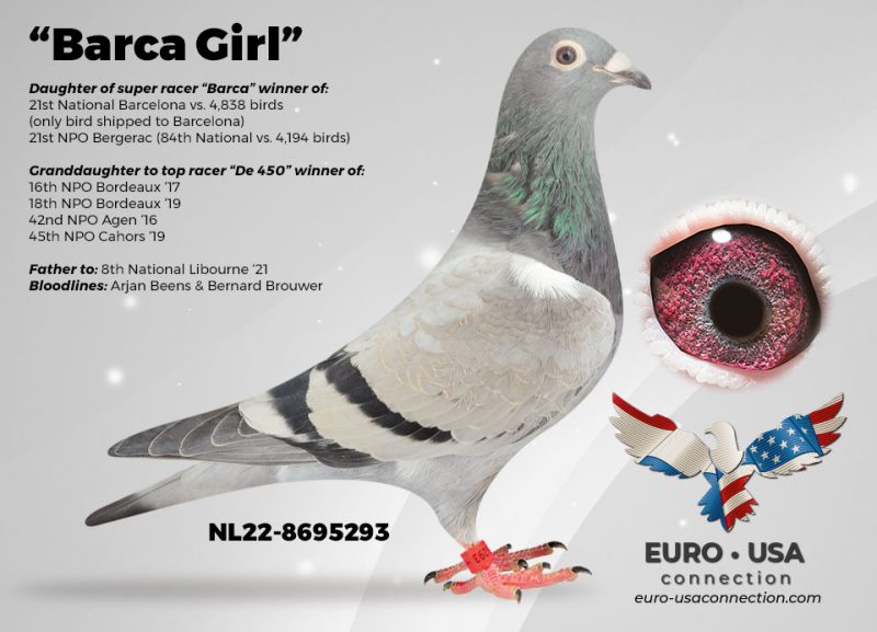 Products – Euro USA Connection