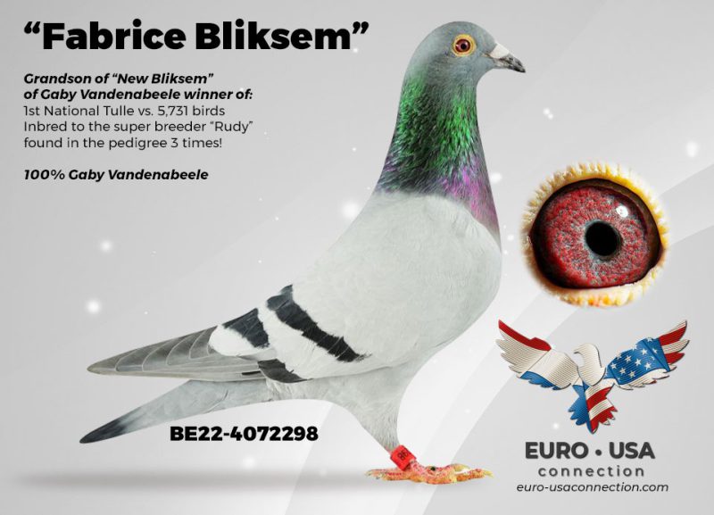 Products – Euro USA Connection