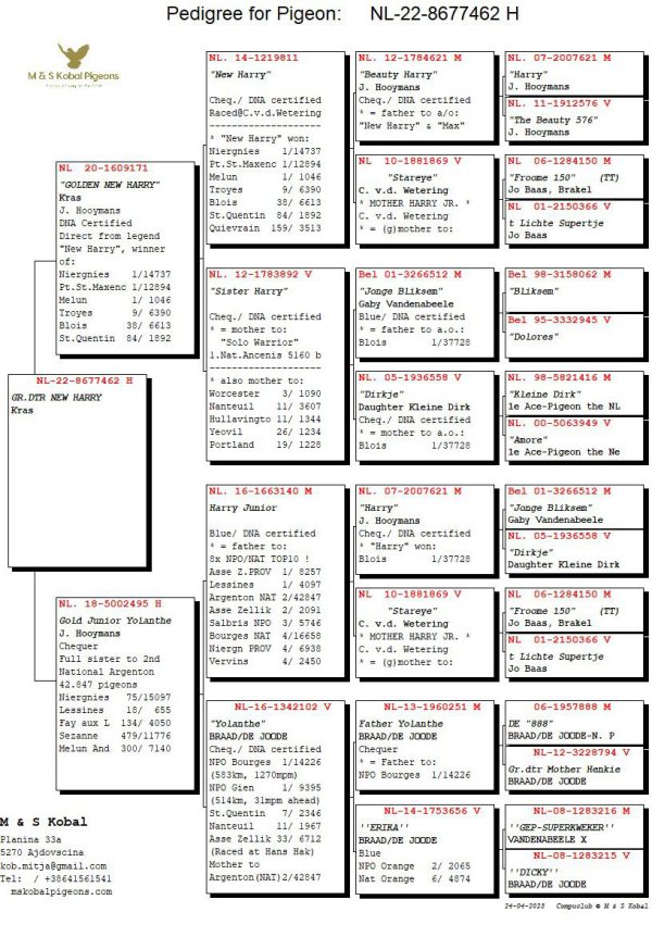 Products – Euro USA Connection