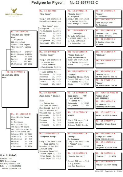 Products – Euro USA Connection
