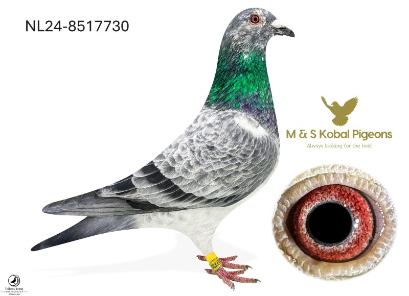 For Sale – Euro USA Connection