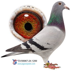 For Sale – Euro USA Connection