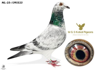 For Sale – Euro USA Connection